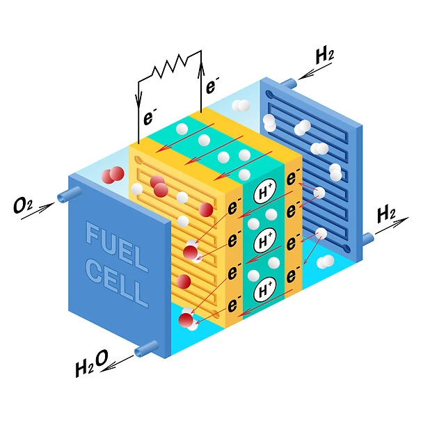 Fuel Cell Technology: Powering Canada's Renewable Energy Future
