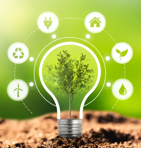 Bioenergy in Canada: A Key Player in the Renewable Energy Mix